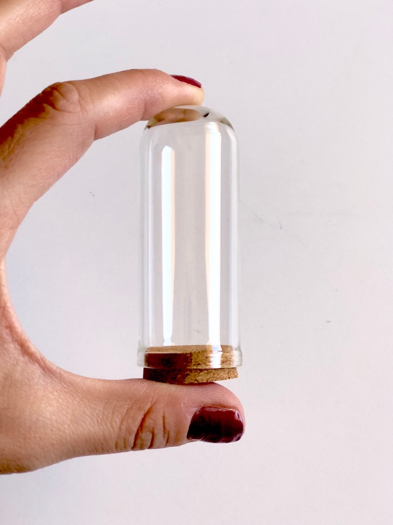 10pcs Mini Dome Glass Jar, 70x28mm, Dome Jar, Cloche Dome, Cork, Glass ...