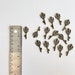 10 Pcs Mini Key, Tiny Key, Charms Antique Bronze, Mini Keys Charm ...
