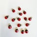 10 Pcs 3D Ladybug Charms, Ladybug Pendants, Jewelry Supplies, Small ...