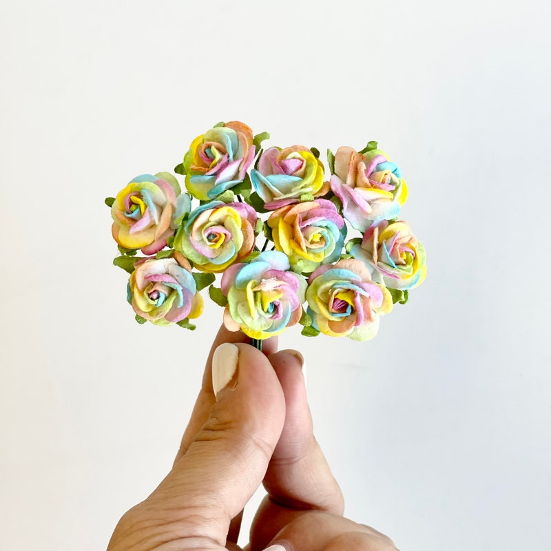 Rainbow Roses - Etsy