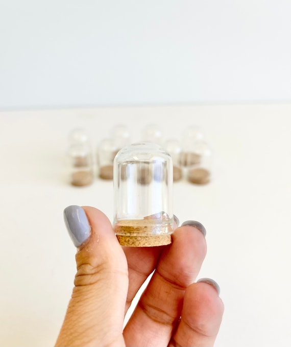 10 Pcs Mini Dome Glass Jar 36.5x22mm Dome Jar Cloche Dome | Etsy