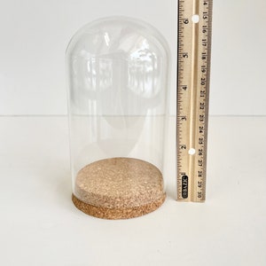 Big Dome Glass Jar, 150x90mm, Dome Jar, Cloche Dome, Cork, Glass Jar ...