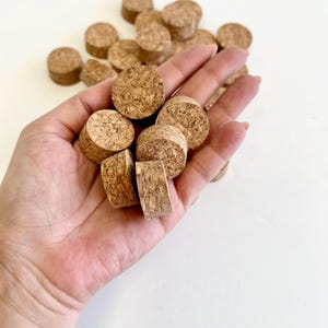 10 Pcs Corks Stoppers Size of 28x12mm, Corks for Miniature Bottles ...