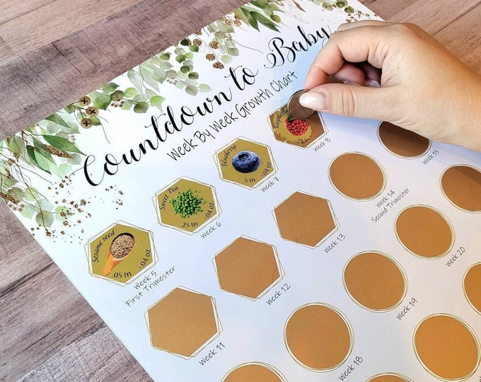 Scratch off Pregnancy Countdown Chart; Pregnancy Growth Tracker ...