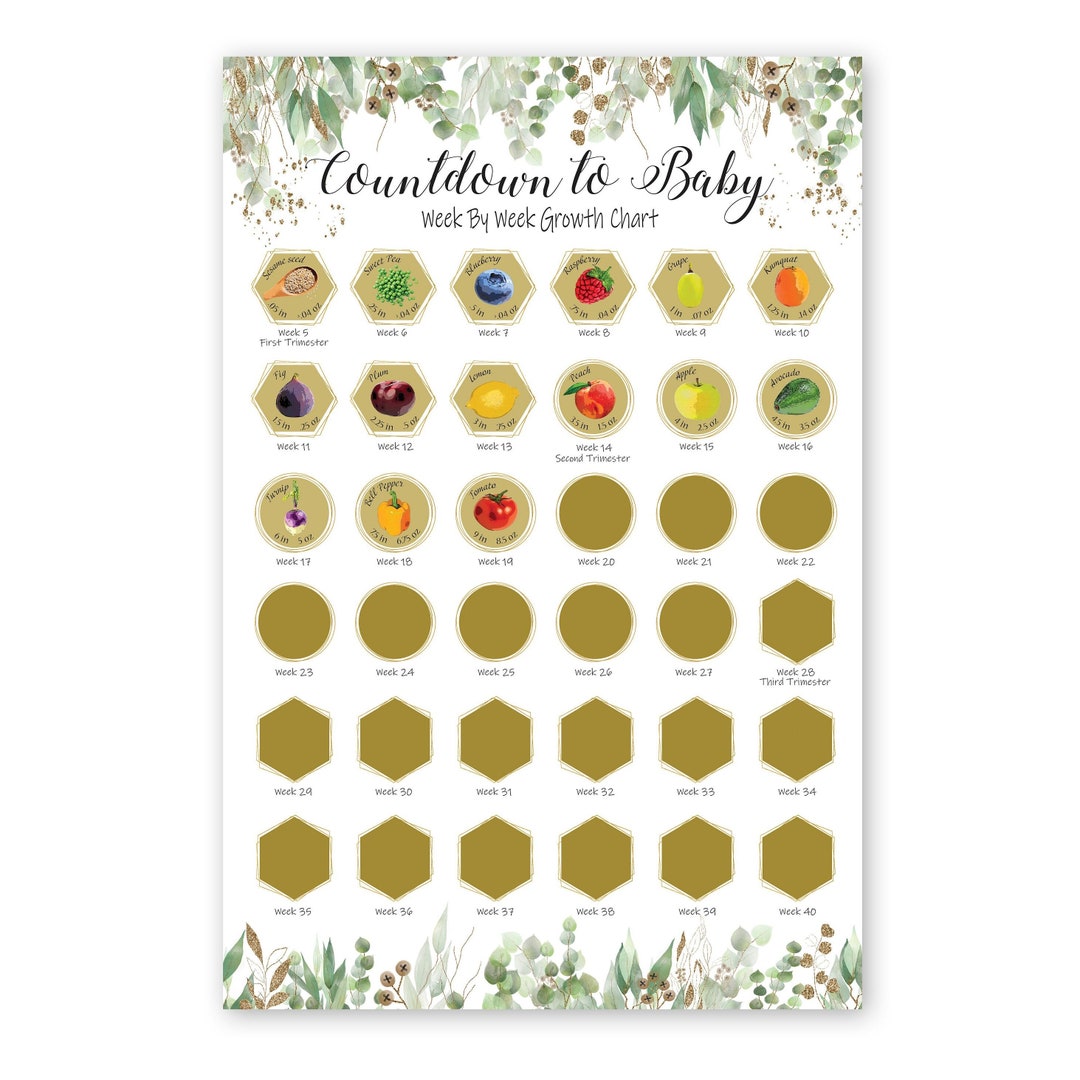 Scratch off Pregnancy Countdown Chart Pregnancy Growth - Etsy