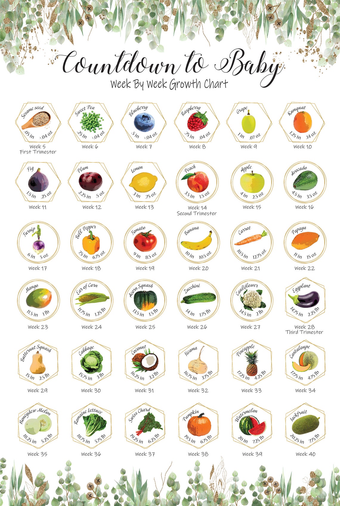 Scratch off Pregnancy Countdown Chart Pregnancy Growth | Etsy