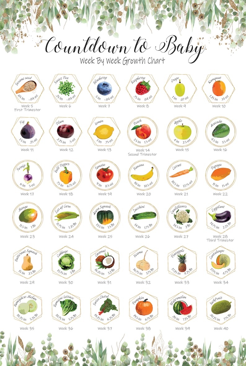 Scratch off Pregnancy Countdown Chart Pregnancy Growth | Etsy