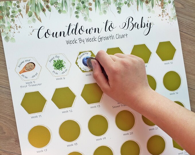 Scratch off Pregnancy Countdown Chart Pregnancy Growth - Etsy