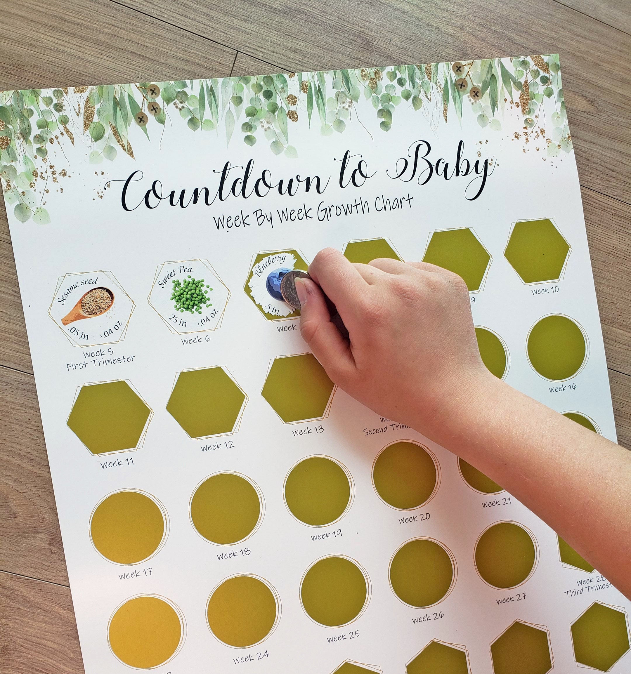 Scratch off Pregnancy Countdown Chart Pregnancy Growth | Etsy