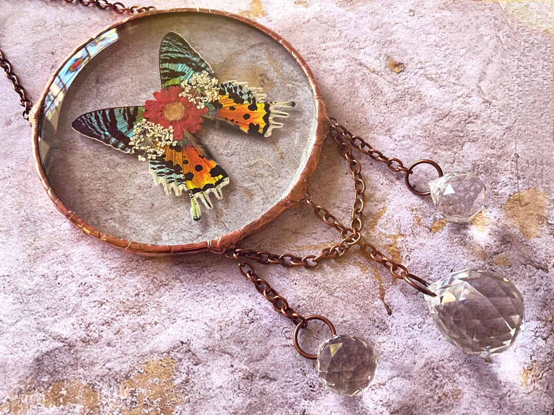 Pressed Flower Sunset Moth Wing Sun Catcher: Copper Patina Rainbow ...