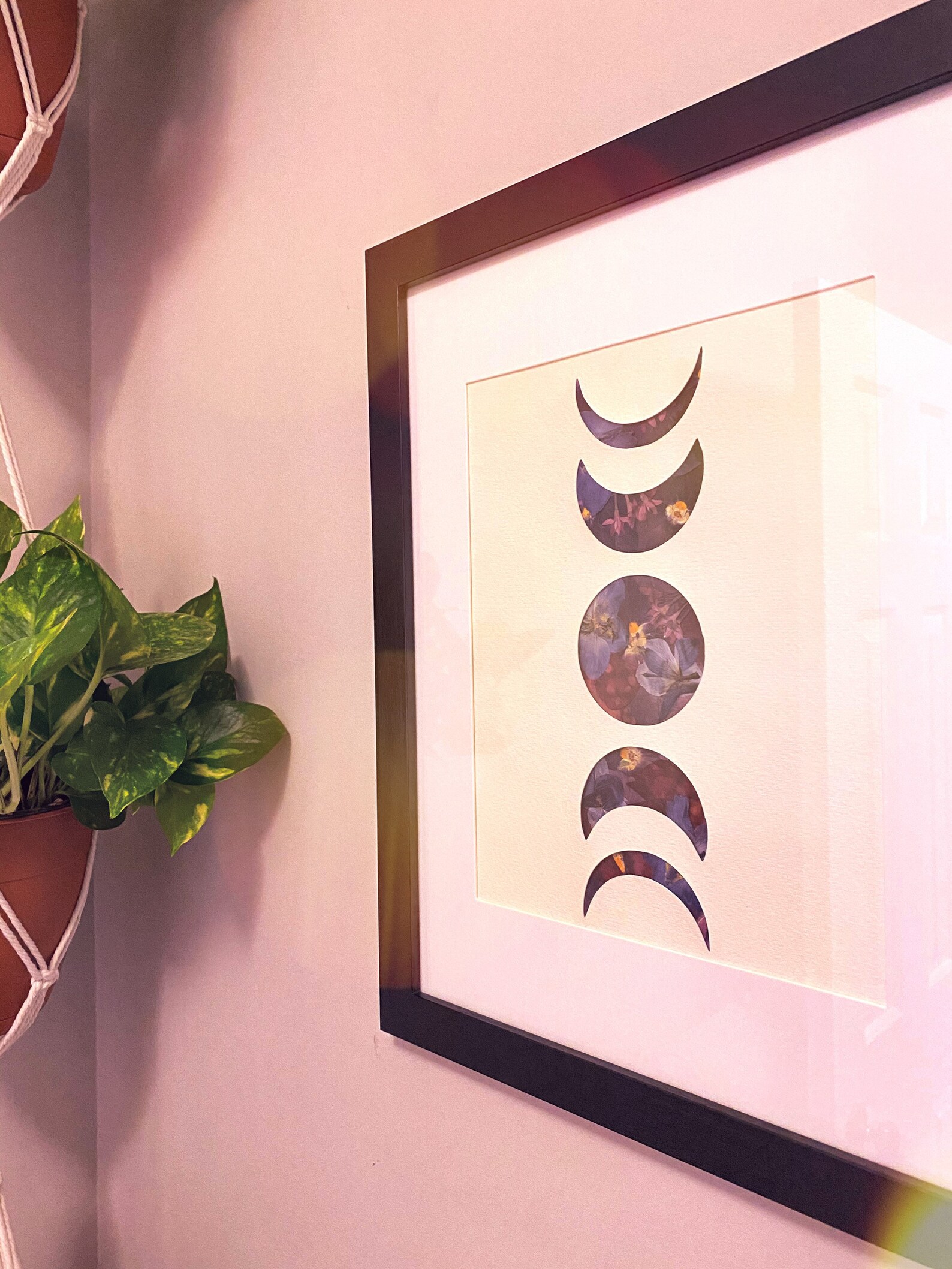 Pressed Flower Moon Phases Framed Artwork Vertical or Horizontal Layout ...