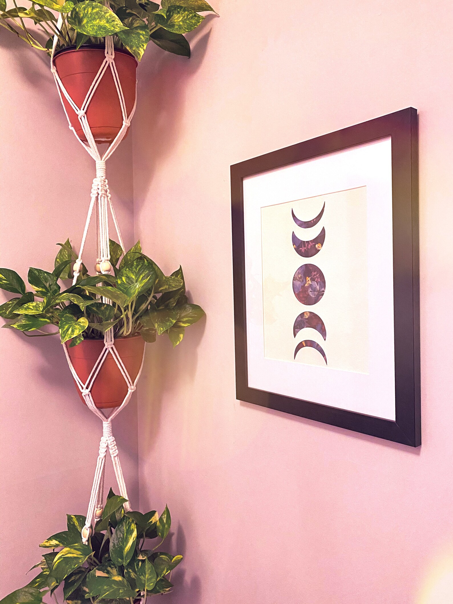 Pressed Flower Moon Phases Framed Artwork Vertical or Horizontal Layout ...