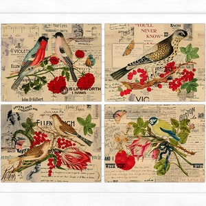 Birds & Flowers Scrapbook Papers, US Letter Ephemera Printable Paper ...