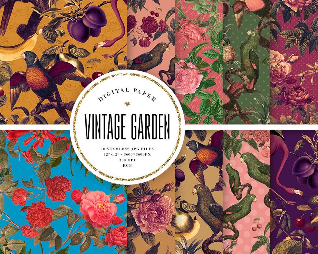 Vintage Botany Digital Paper, Botanical Seamless Patterns, Antique ...