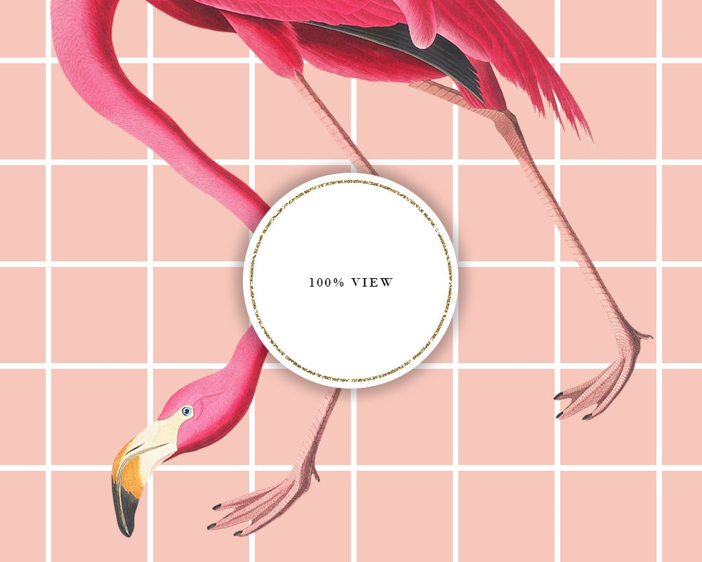 Flamingo Digital Paper, Tropical Seamless Patterns, Glitter Geometric ...