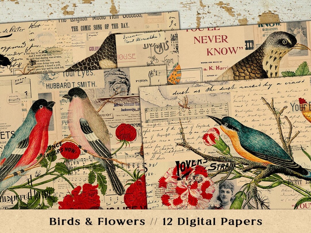 Birds & Flowers Scrapbook Papers, US Letter Ephemera Printable Paper ...