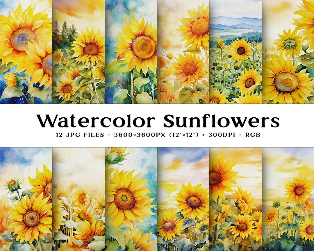 Watercolor Sunflowers Digital Paper, High Quality Watercolour ...