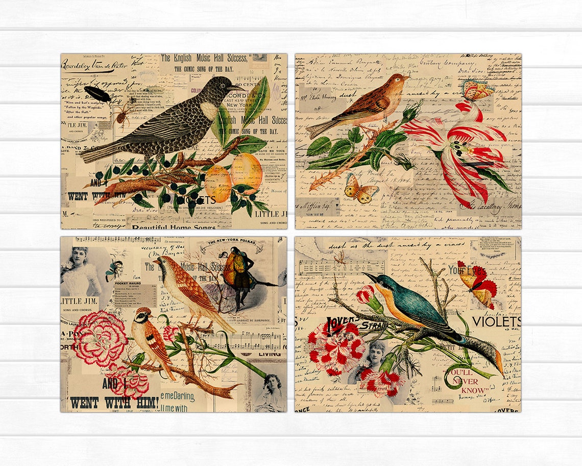 Birds & Flowers Scrapbook Papers, US Letter Ephemera Printable Paper ...