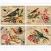 Birds & Flowers Scrapbook Papers, US Letter Ephemera Printable Paper ...