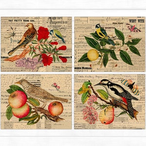 Birds & Flowers Scrapbook Papers, US Letter Ephemera Printable Paper ...