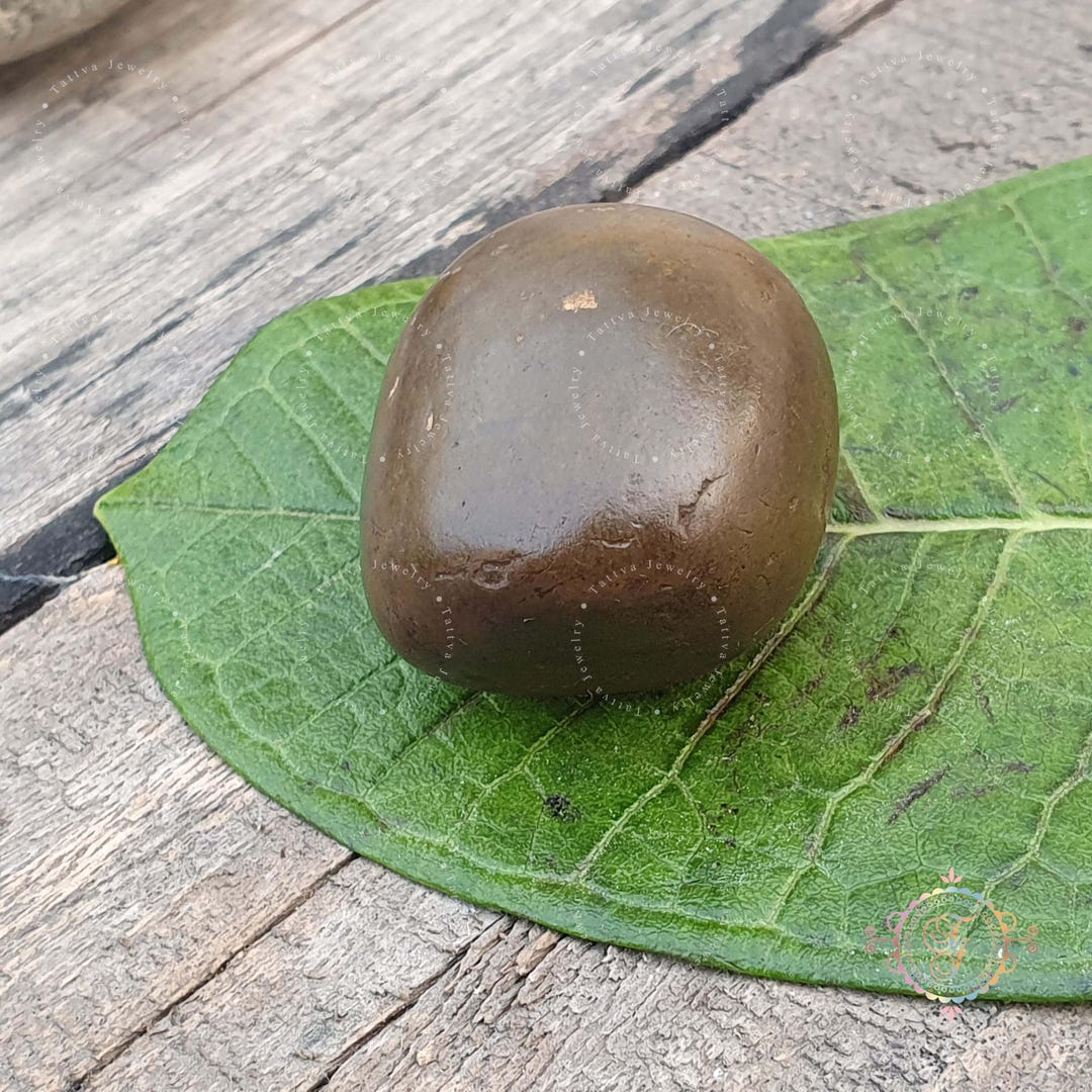 Brown Divya Santan Gopal Shaligram Religious Gifts, Saligram Stone ...