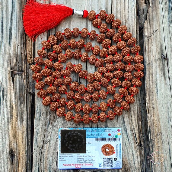 Rare Rudraksha Mala