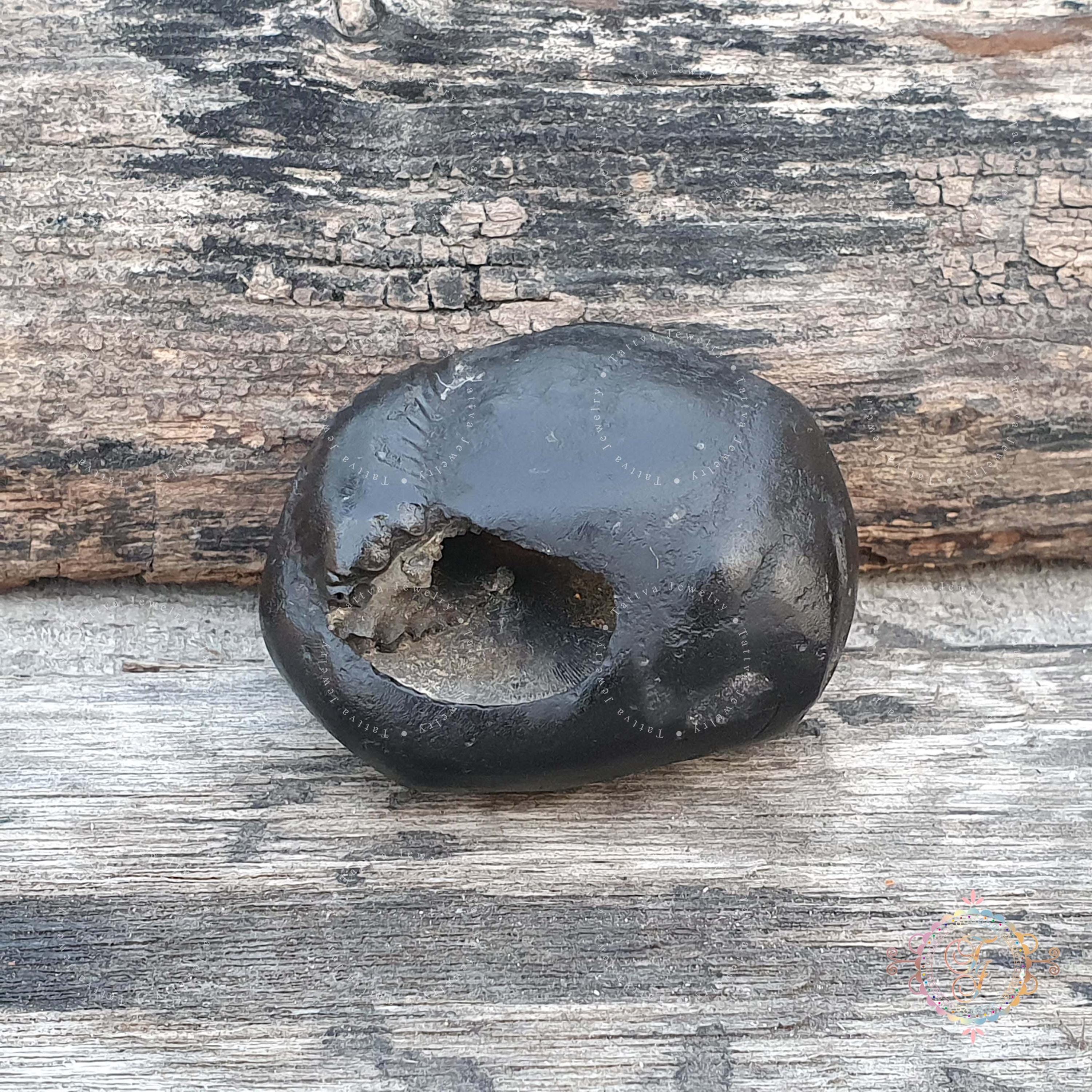 Rare Narsimha Yellow Shaligram Stone: Gandaki River Vishnu Pooja Item ...