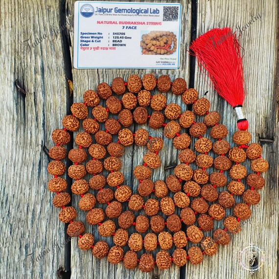 Rare Rudraksha Mala
