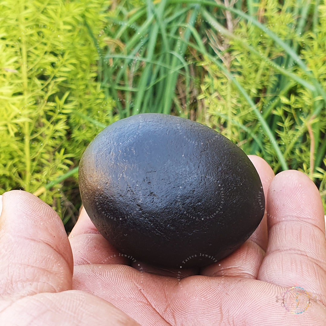 Ram Shaligram, Religious Gifts, Saligram Stone - Gandaki River Nepal ...