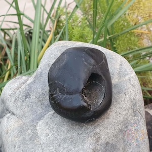 Rare Narsimha Yellow Shaligram Stone: Gandaki River Vishnu Pooja Item ...