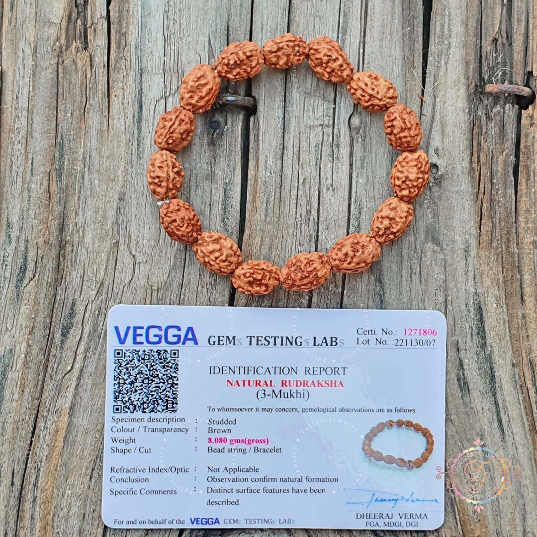 3 Mukhi Rudraksha Bracelet: Handmade Shiva Beads Japa Wristlet, Three ...