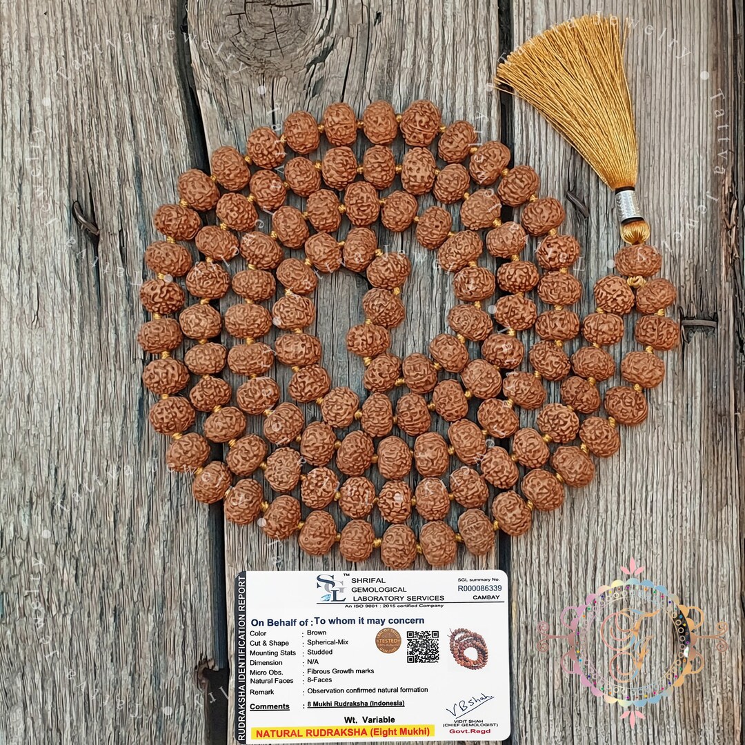 Rare Big Eight Mukhi Rudraksha Mala, Lab Certified, Eight Face ...
