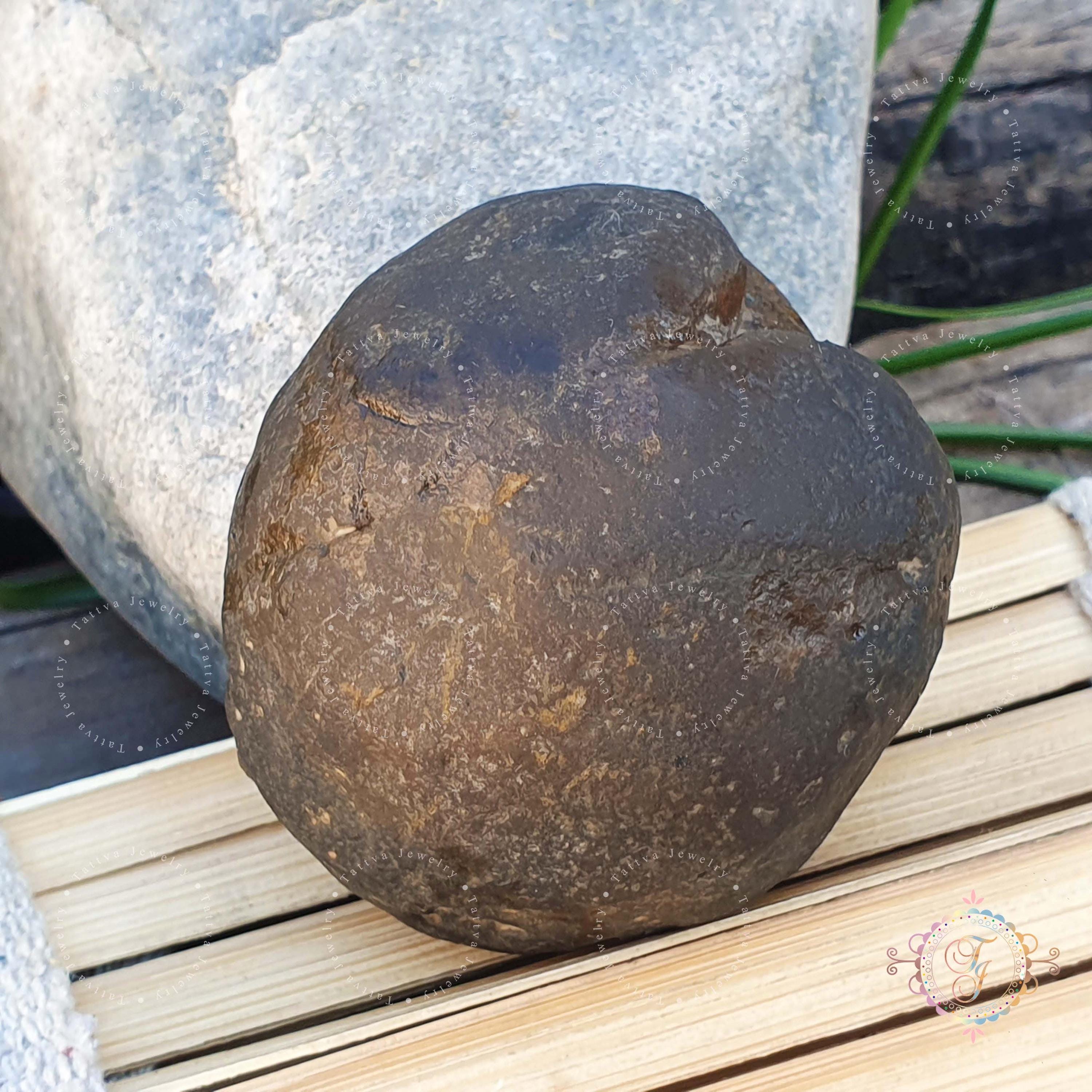 Large Giri Govardhana Shaligram Shila: Nepal Kali Gandaki River Stone ...