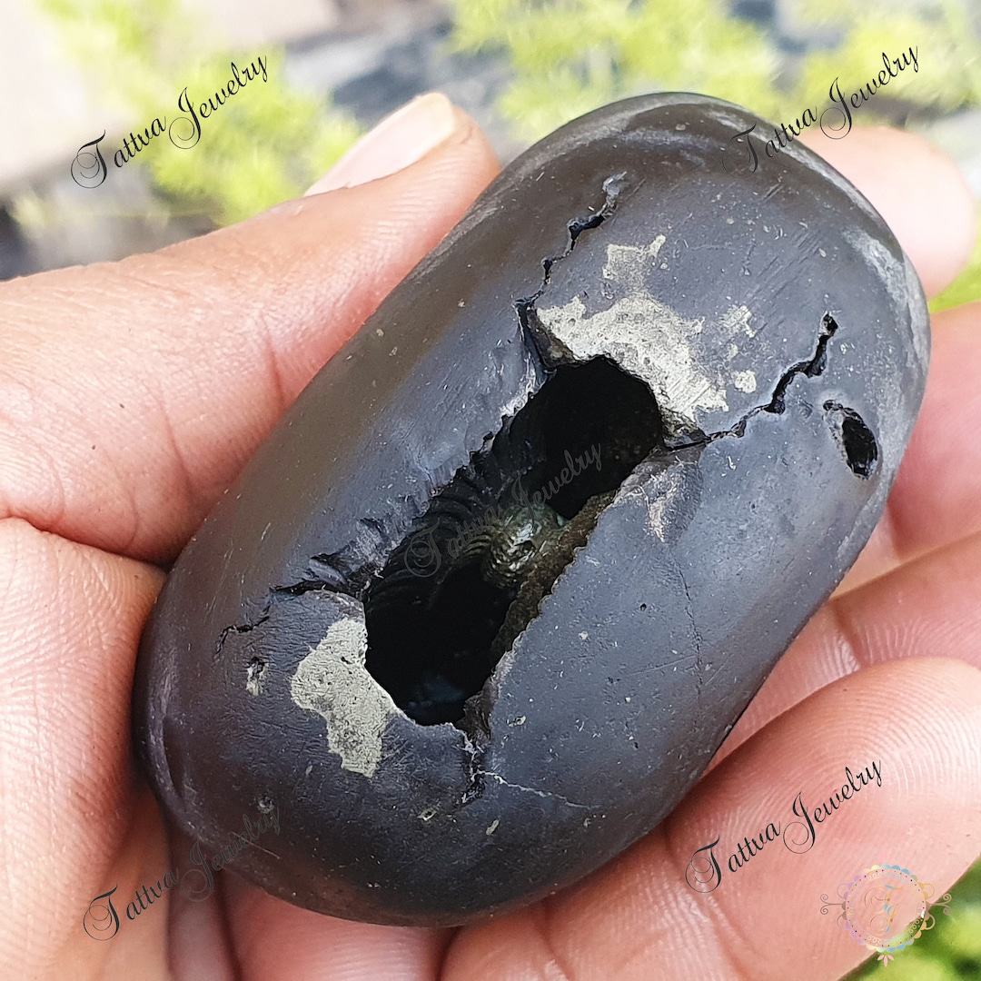 Golden Vishnu Shaligram, Mahavishnu Shaligram, Shaligram Shila, Gandaki ...