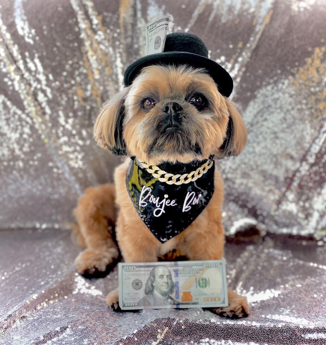 Boujee Boi Dog Bandana Dog Neckwear, Adjustable, Custom Made Bandana ...