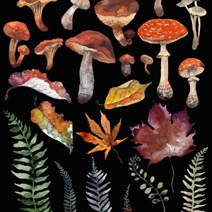 Watercolor Autumn Mushrooms Clipart Fall Time Woodland Forest Leaves ...