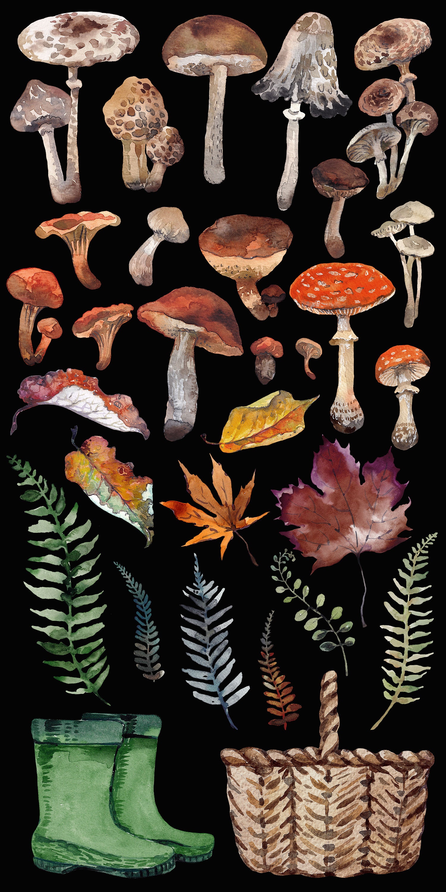 Watercolor Autumn Mushrooms Clipart Fall Time Woodland Forest - Etsy