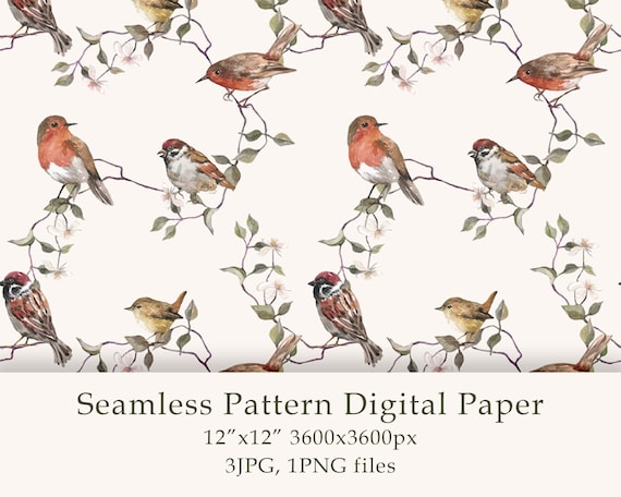 Watercolor Birds Seamless Pattern Digital Paper Birds Birthday - Etsy
