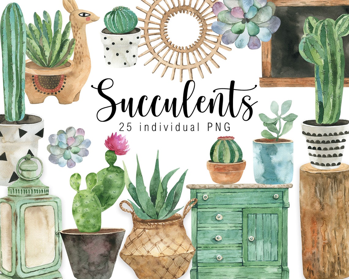 Watercolor Succulent Clipart Home Watercolour Plant Cacti - Etsy