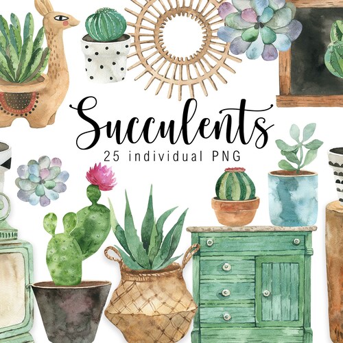 Watercolor Succulent Clipart Home Watercolour Plant Cacti - Etsy