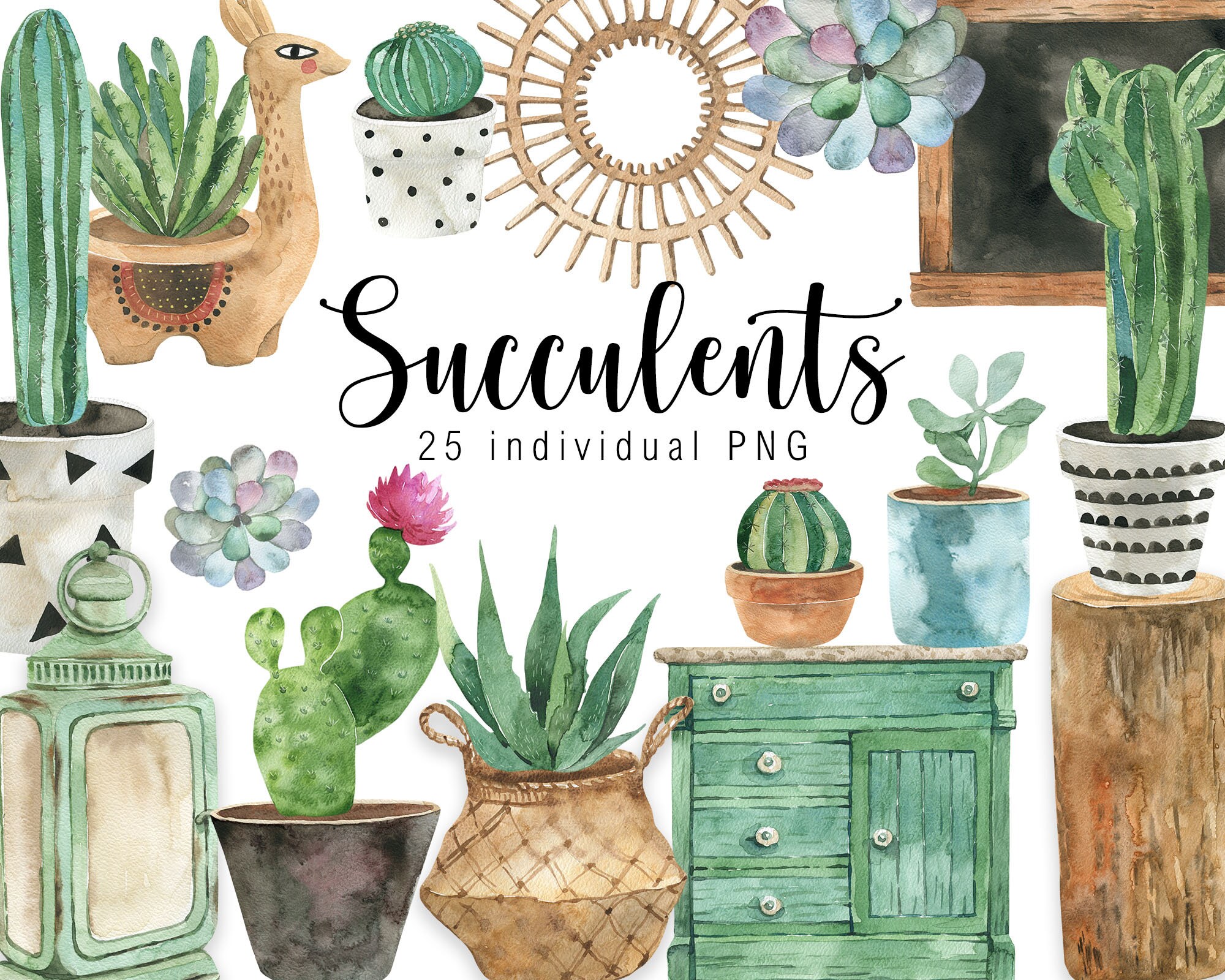 Watercolor Succulent Clipart Home Watercolour Plant Cacti - Etsy