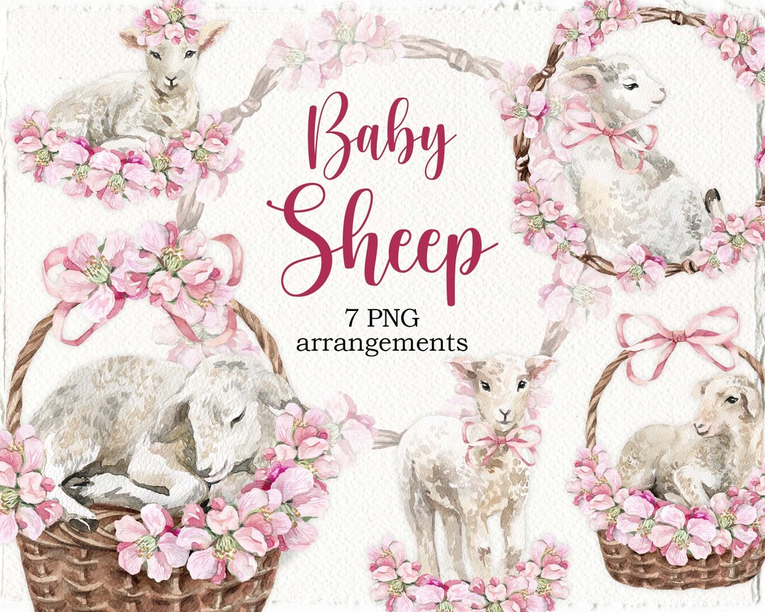 Watercolor Baby Sheep Easter Clipart Png Spring Easter Clip Art ...