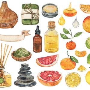 Watercolor Essential Oil Clipart Herbs Floral Clip Art Eucalyptus ...