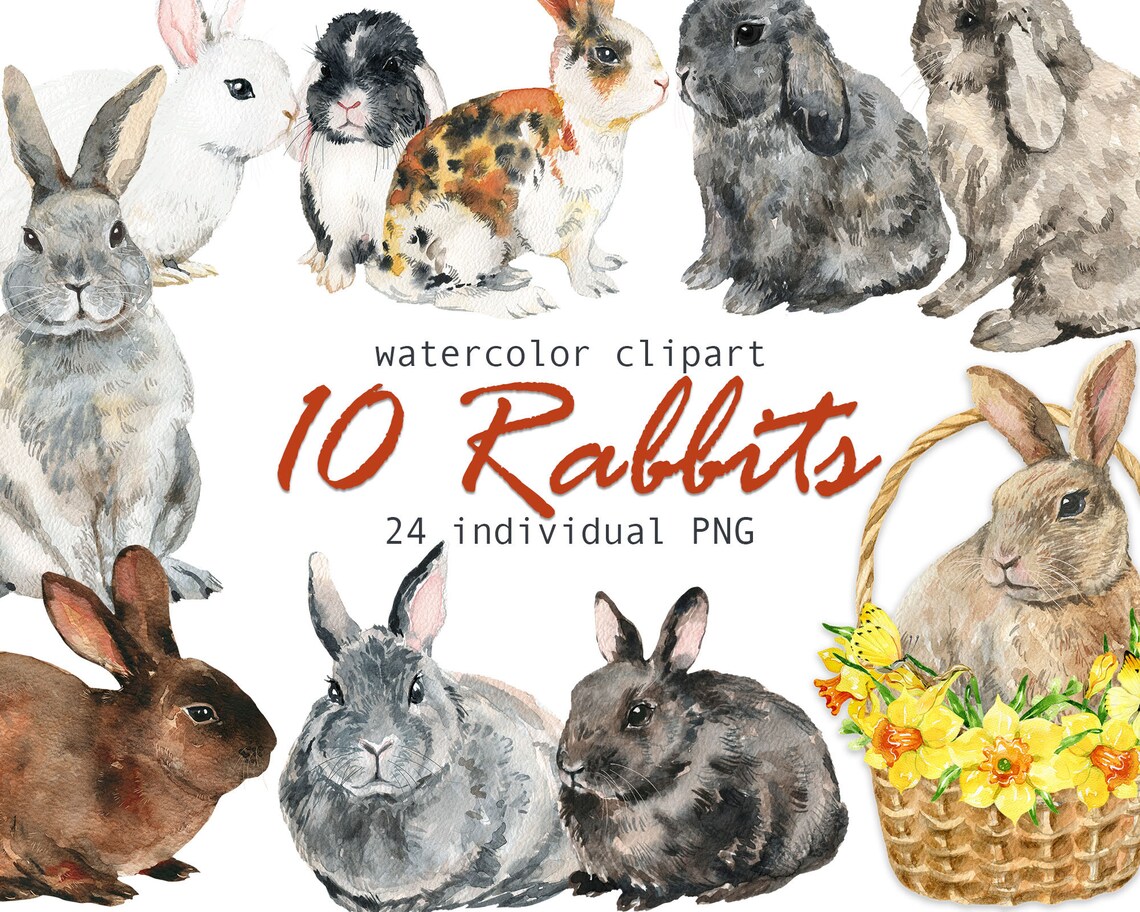 Watercolor Rabbits Clipart Easter Bunny Png Cute Clipart - Etsy