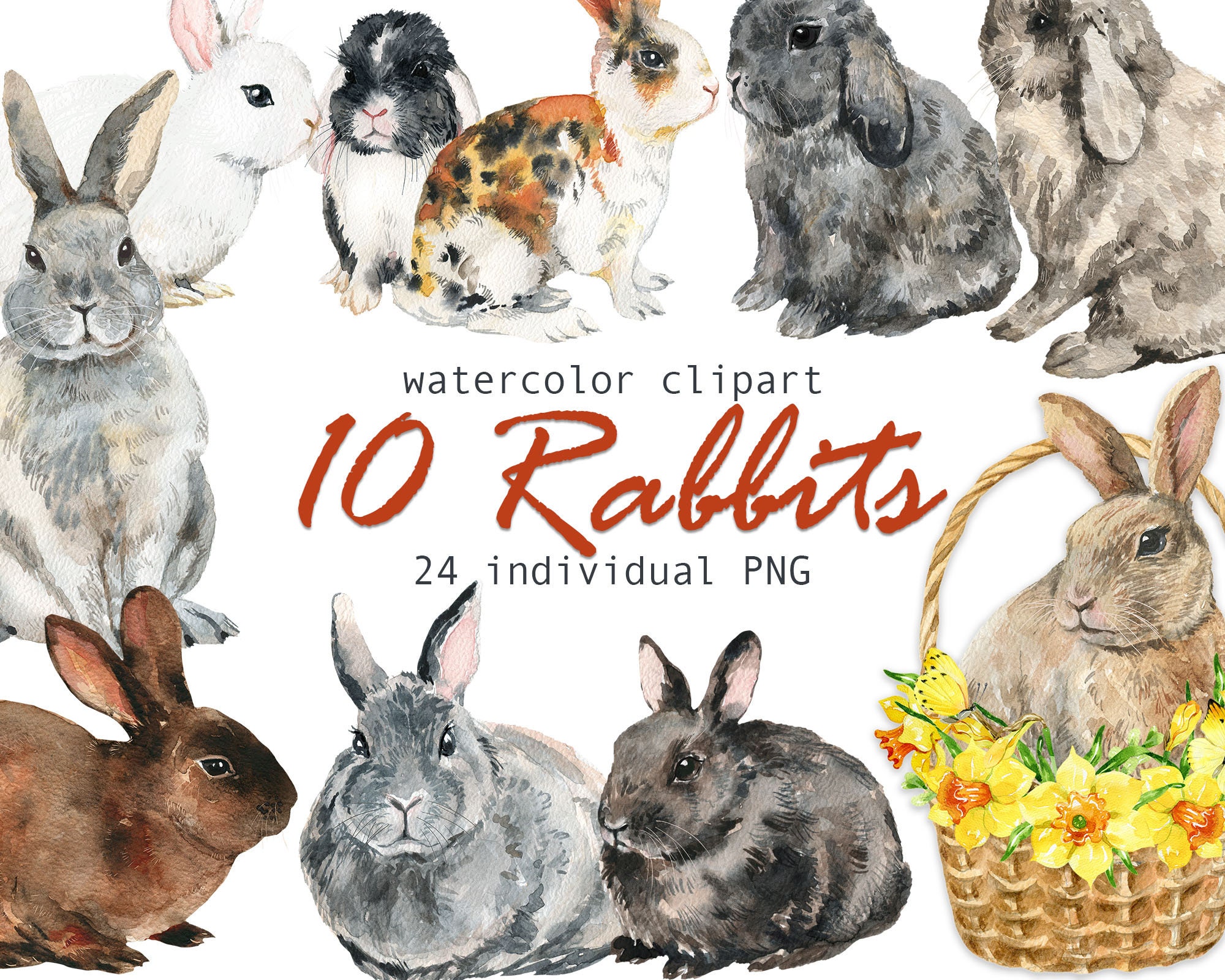 Watercolor Rabbits Clipart Easter Bunny Png Cute Clipart - Etsy