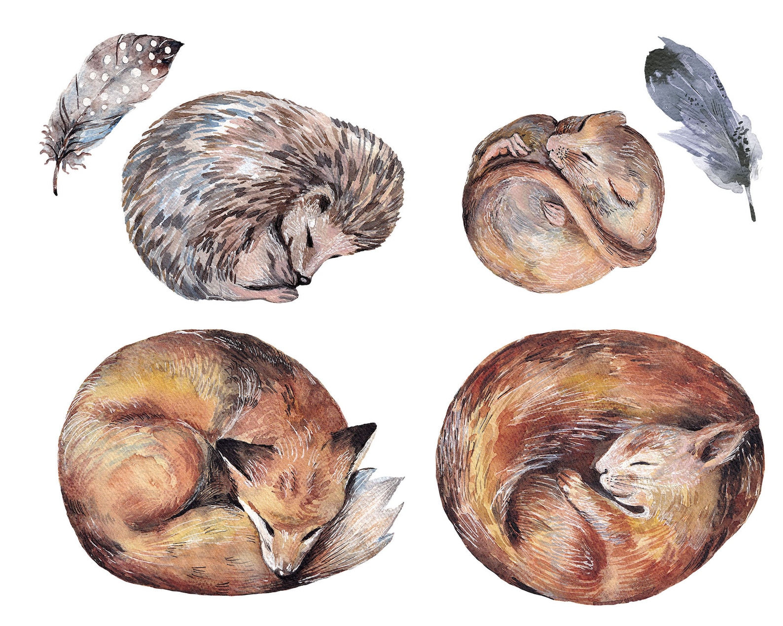 Watercolor Autumn Forest Clipart | Fall Leaves, Animals (PNG Digital ...