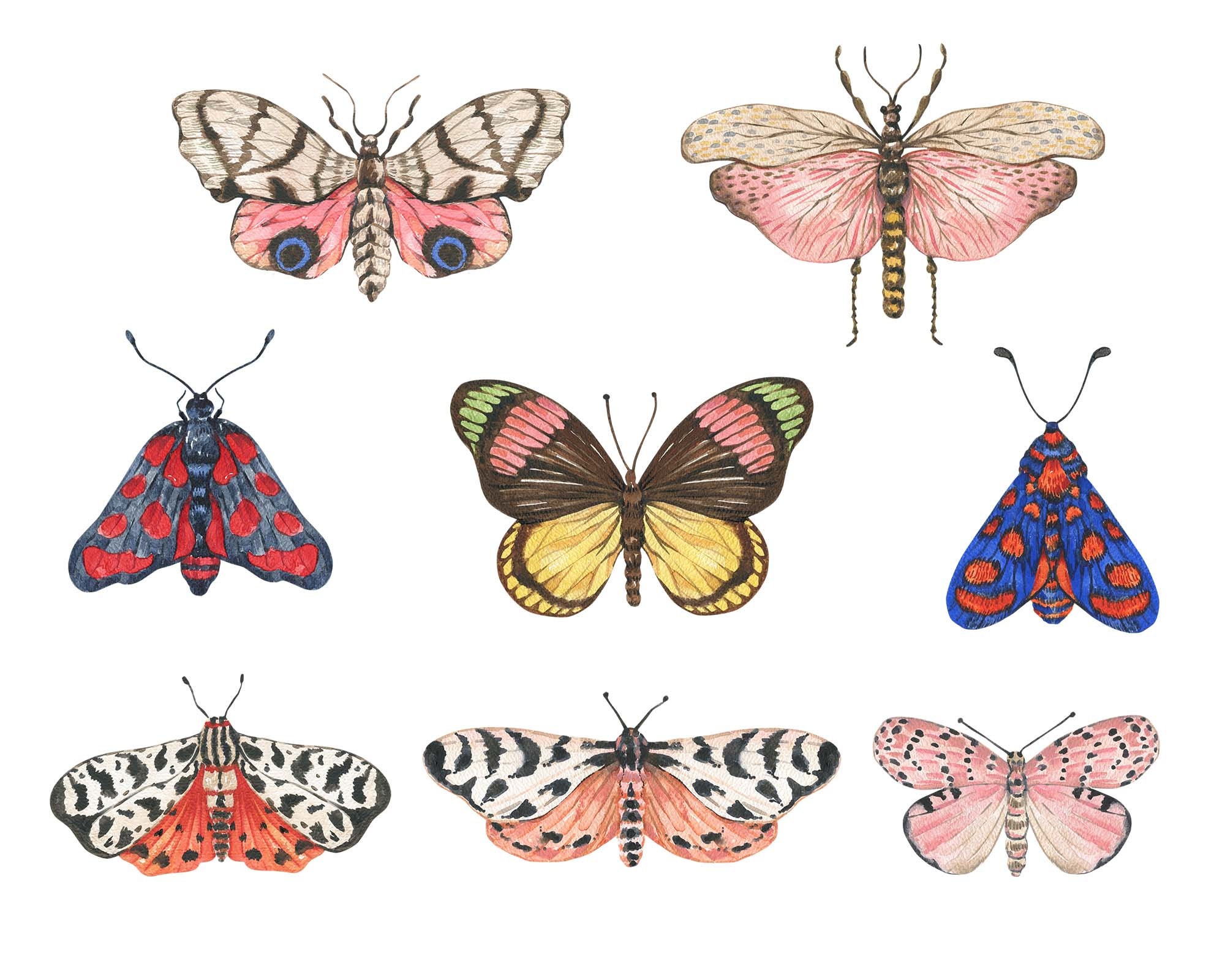 Watercolor Butterflies & Beetles Clipart Insect Baby Shower Clip Art ...