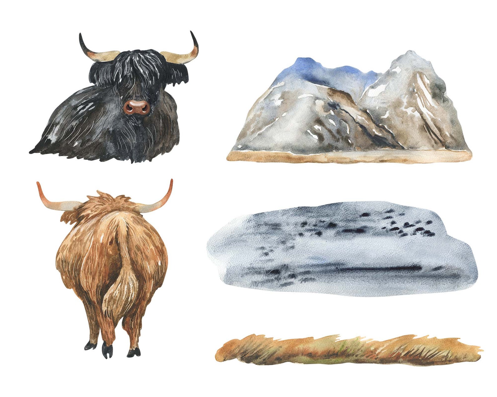 Watercolor Highland Cows Clipart Farm Animals Clipart - Etsy
