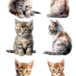 Watercolor Kitten Collection Animal Cats Clipart Pet Cats Clipart Cute ...