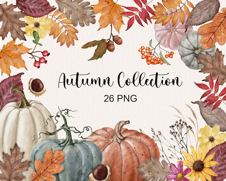 Hand Drawn Autumn Collection Clipart Fall Leaves Clip Art Cozy - Etsy
